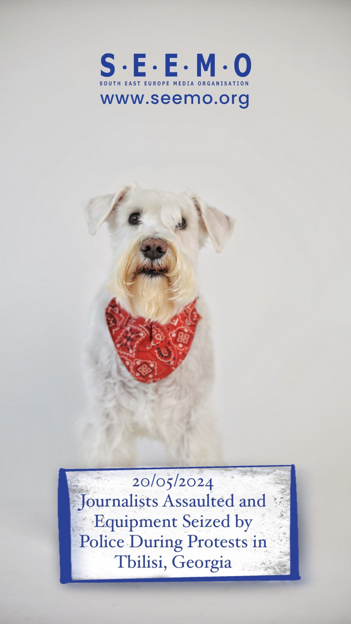 South East Europe Media Organisation