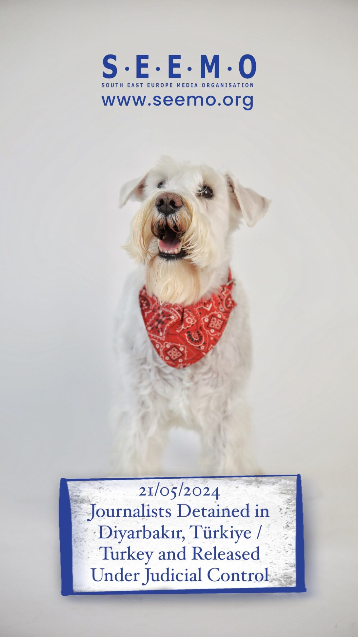 South East Europe Media Organisation