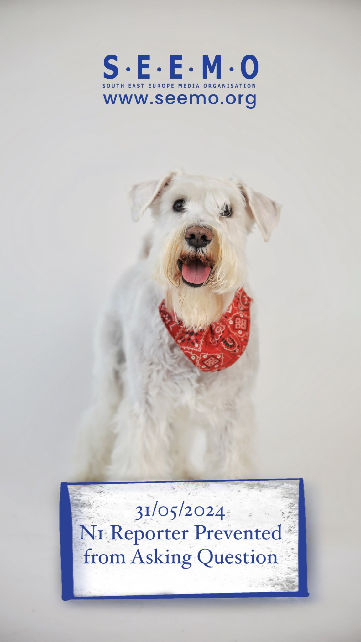 South East Europe Media Organisation